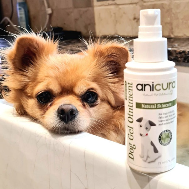 Anicura – GoodandGlow